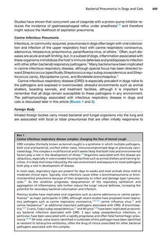 Bacterial Pneumonia in dogs and cats_2020.pdf