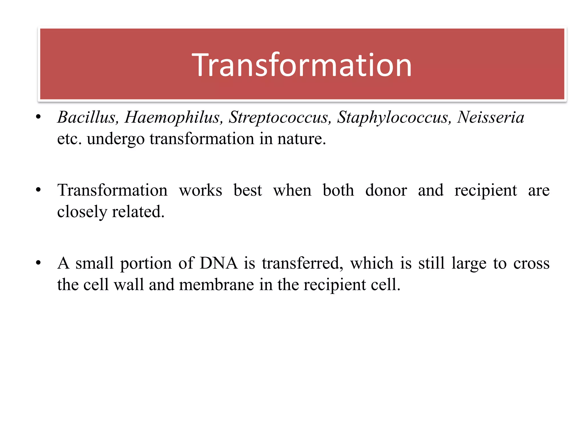 Bacterial Recombination 1 Pptx