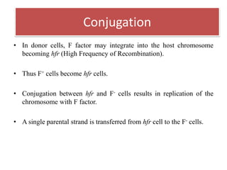 Bacterial recombination (1) | PPTX