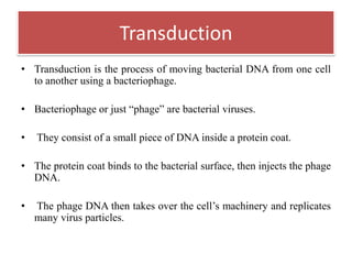 Bacterial recombination (1) | PPTX