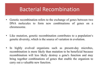 Bacterial Genetic Recombination