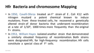 Bacterial recombination and mapping in e.coli