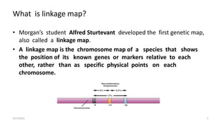 Bacterial recombination and mapping in e.coli