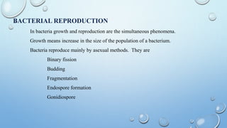 Bacterial reproduction | PPTX