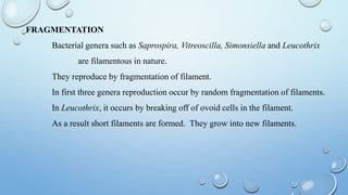 Bacterial reproduction | PPTX