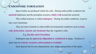 Bacterial reproduction | PPTX