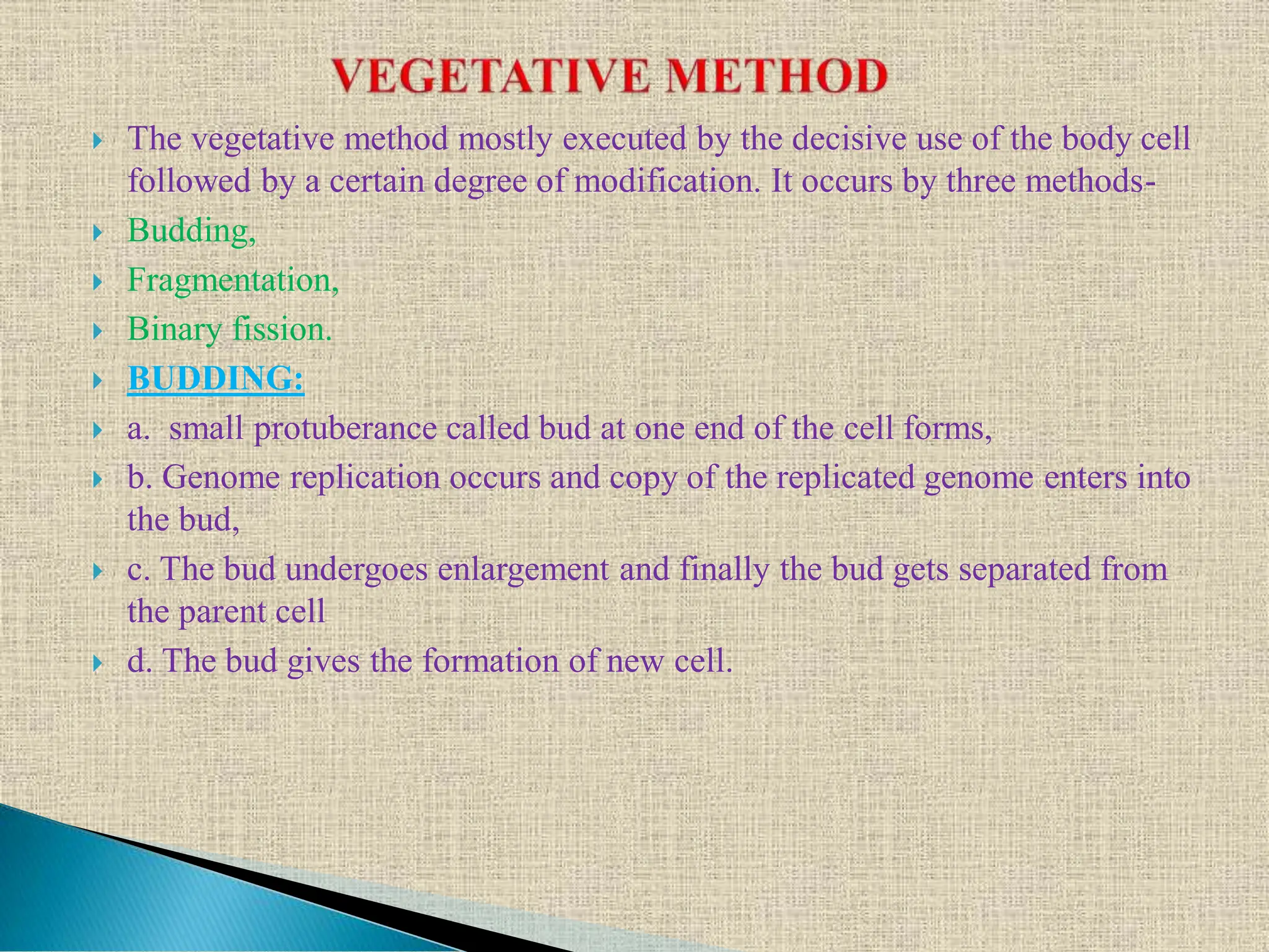 Bacterial Reproduction.pdf
