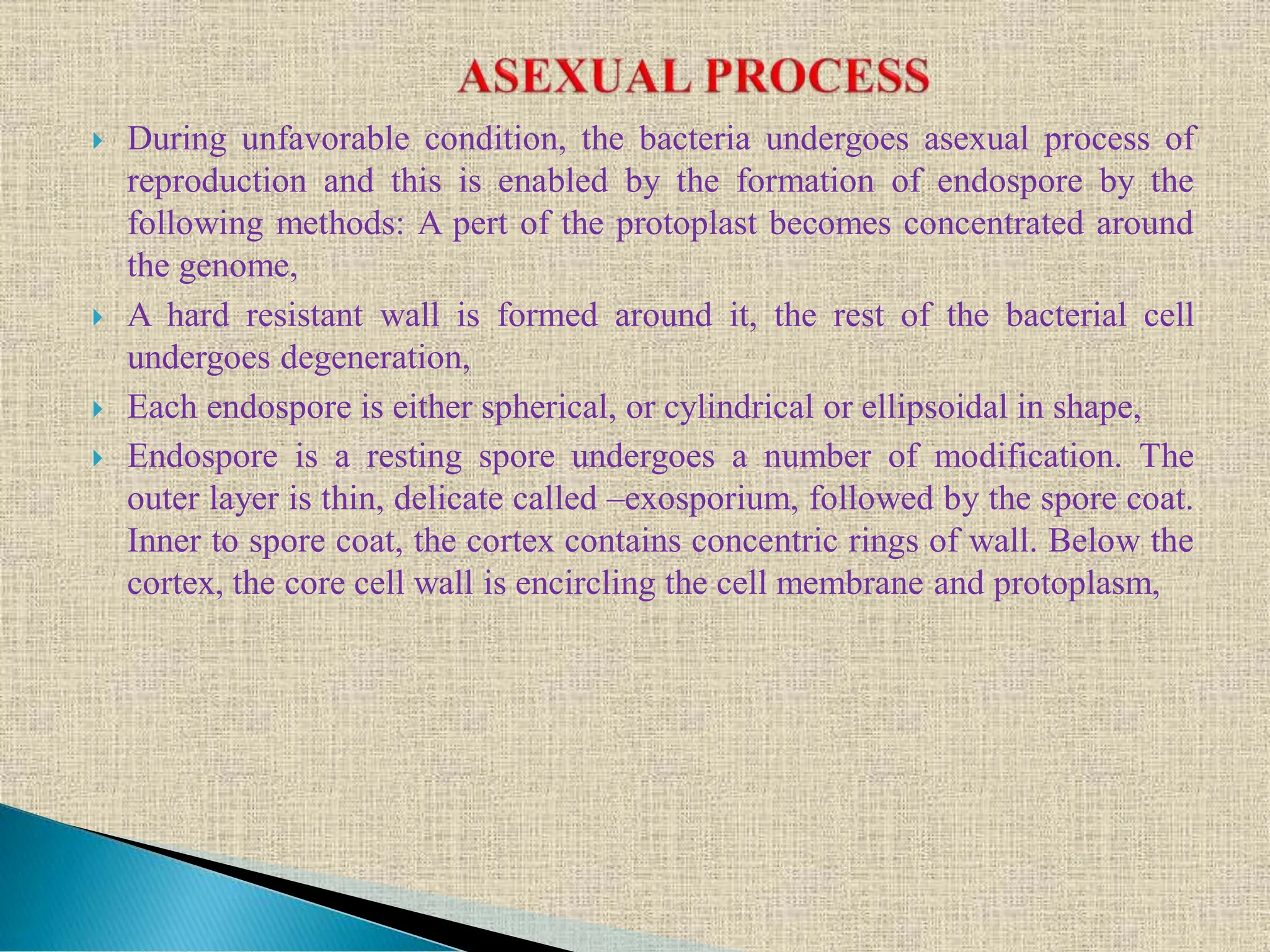 Bacterial Reproduction.pdf