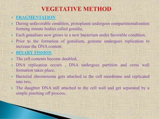 Bacterial Reproduction.pdf