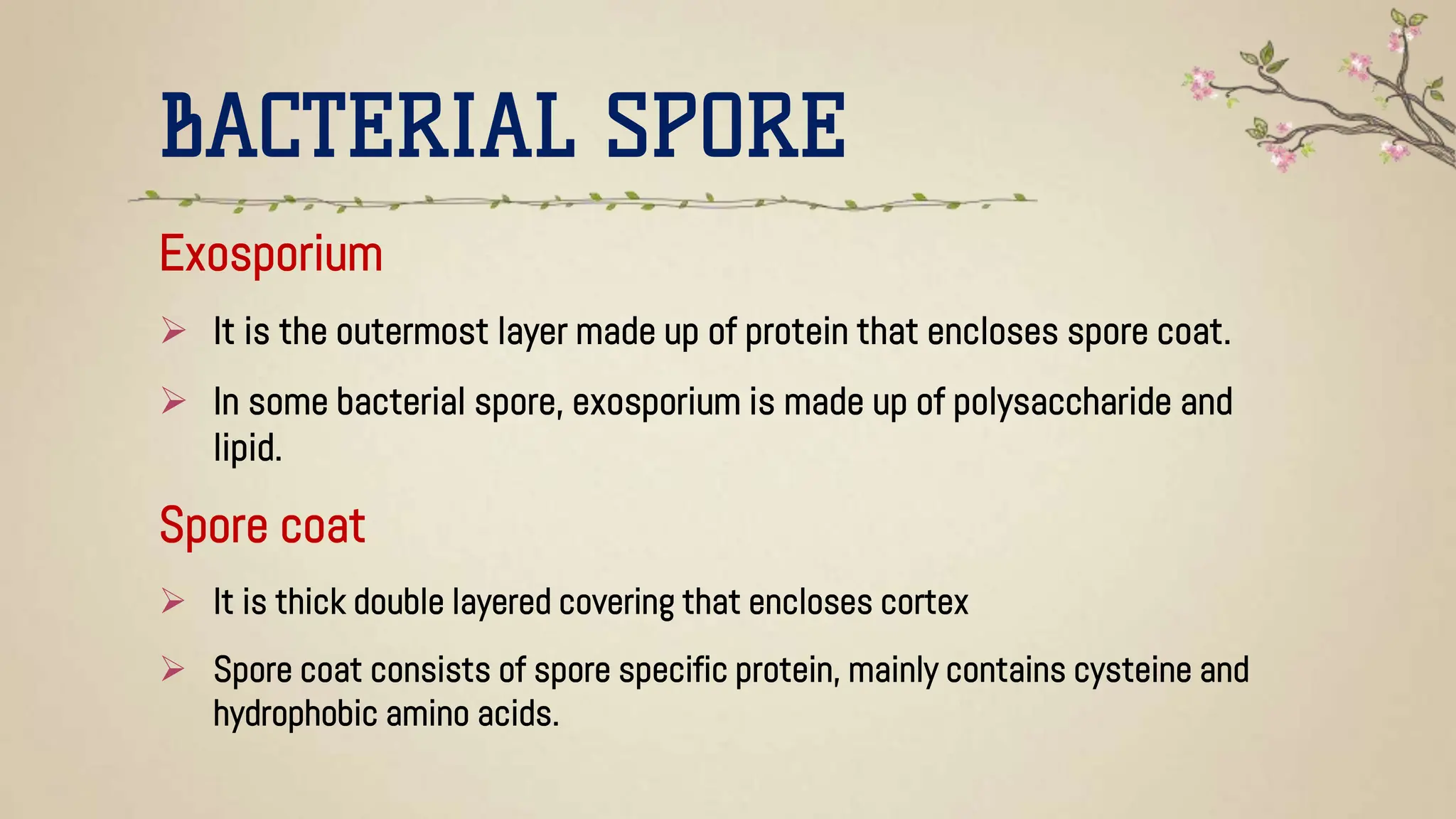 Bacterial Reproduction & Sporulation.pptx