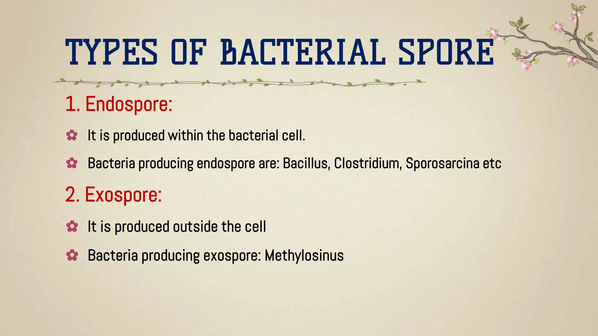 Bacterial Reproduction & Sporulation.pptx