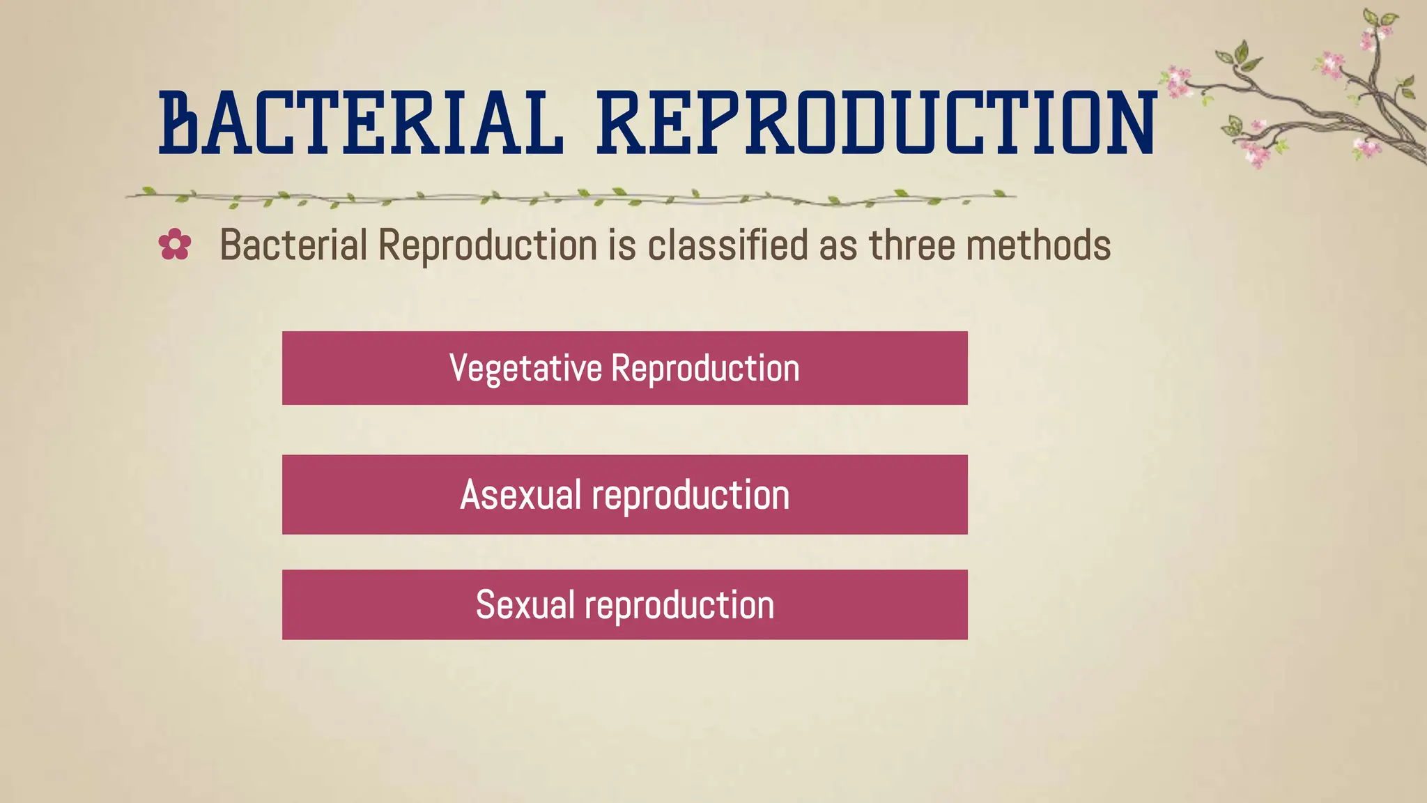Bacterial Reproduction & Sporulation.pptx