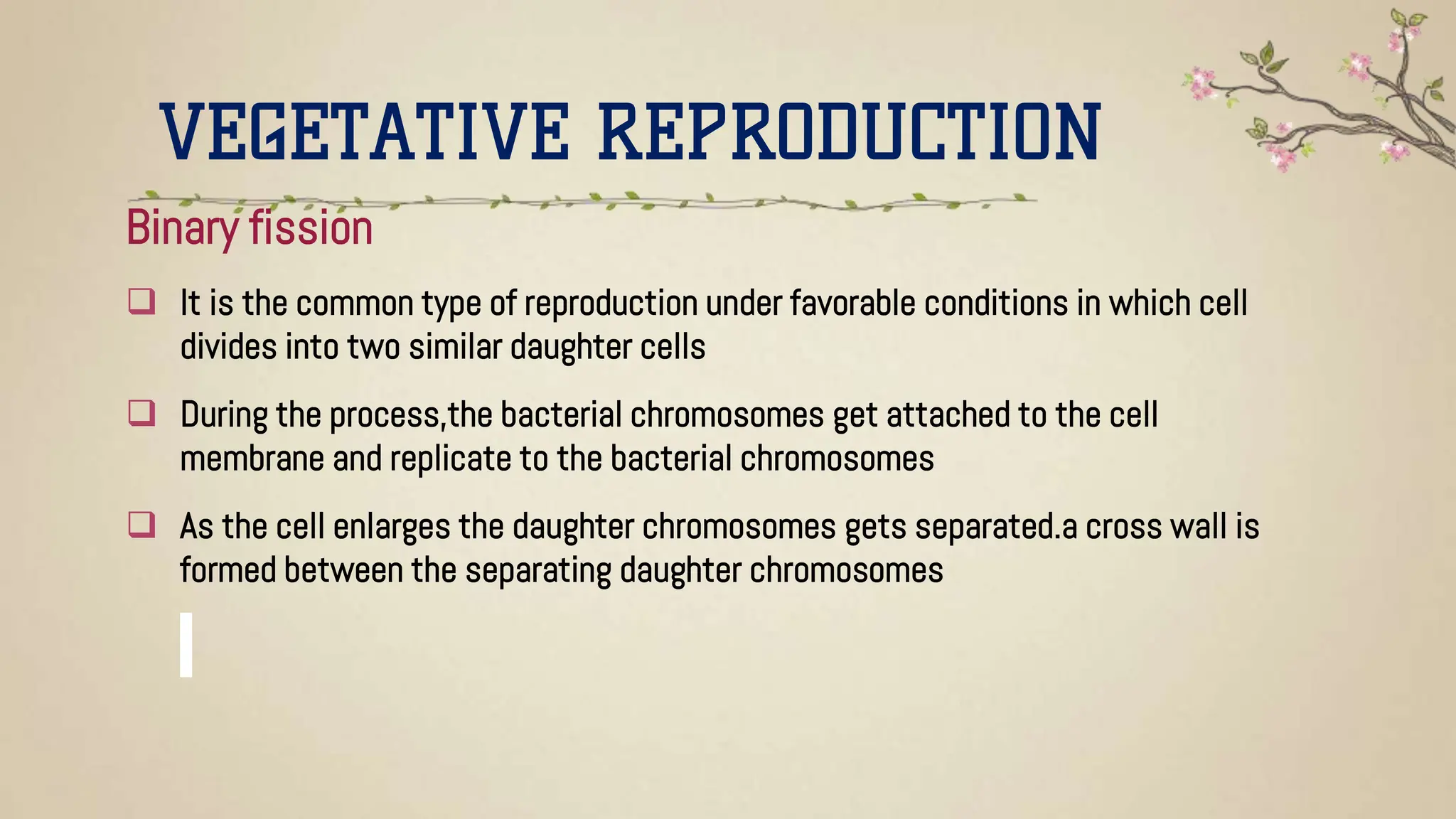 Bacterial Reproduction & Sporulation.pptx