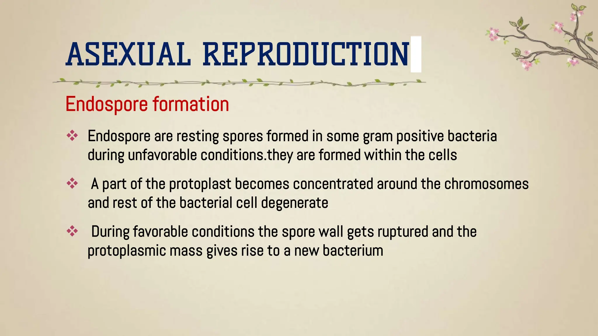 Bacterial Reproduction & Sporulation.pptx