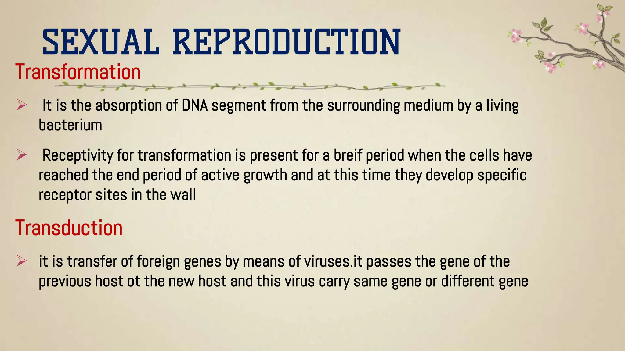 Bacterial Reproduction & Sporulation.pptx