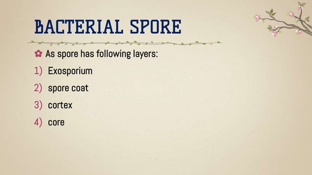 Bacterial Reproduction & Sporulation.pptx