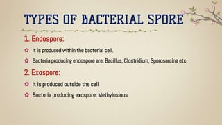 Bacterial Reproduction & Sporulation.pptx