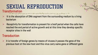 Bacterial Reproduction & Sporulation.pptx