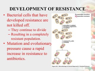 Bacterial resistance against antibiotics and it’s prevention | PPT
