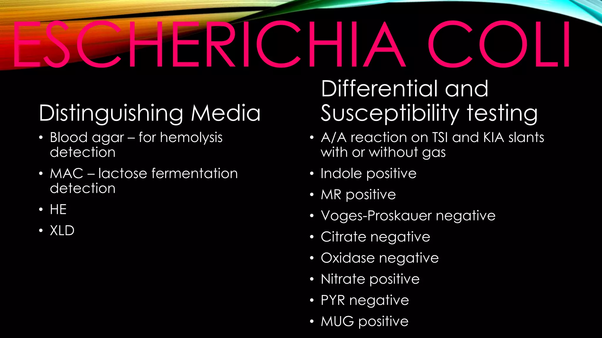 Bacterial screenshot presentation_2 | PPTX