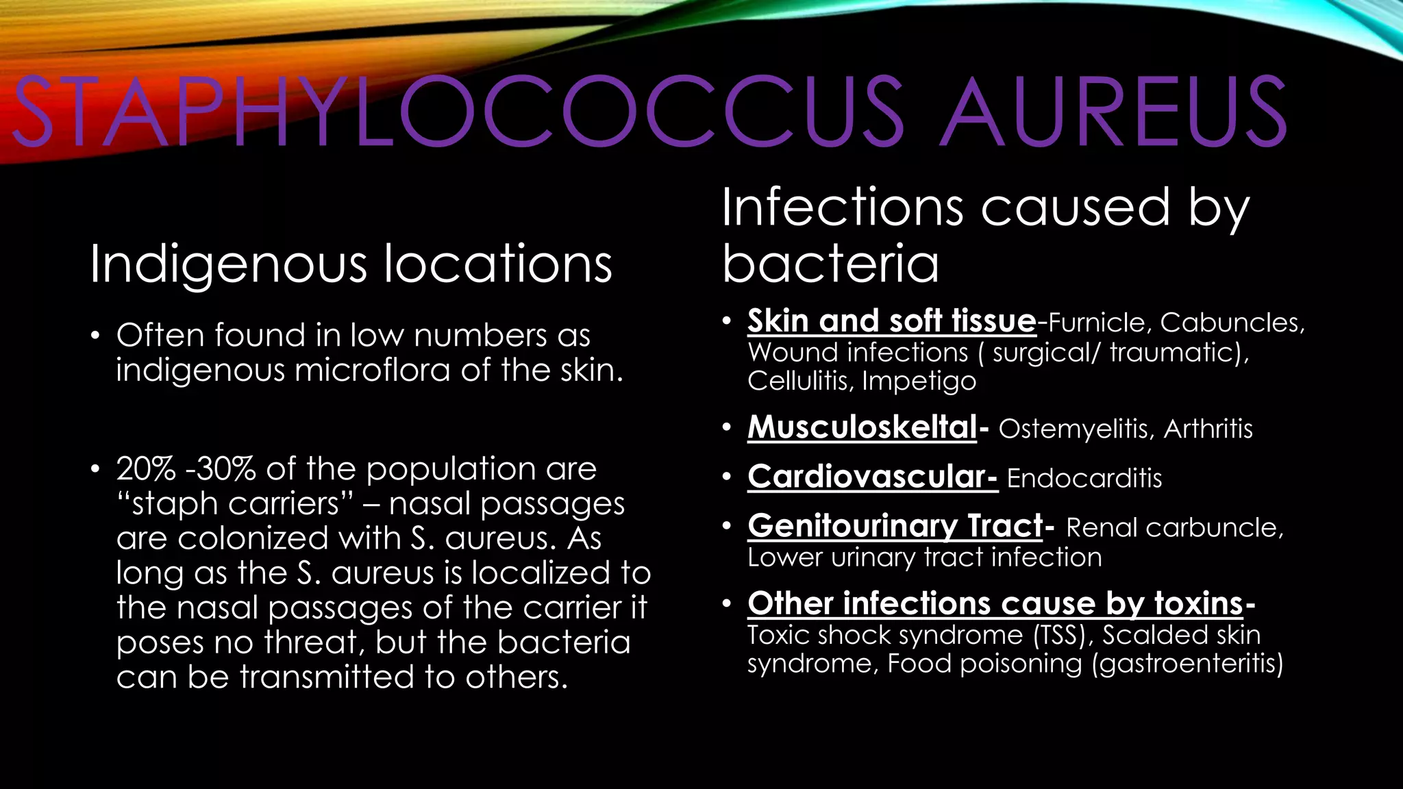 Bacterial screenshot presentation_2 | PPTX
