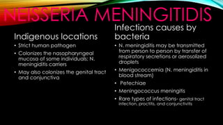 Bacterial screenshot presentation_2 revised | PPTX