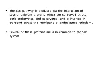 Bacterial secretion | PDF