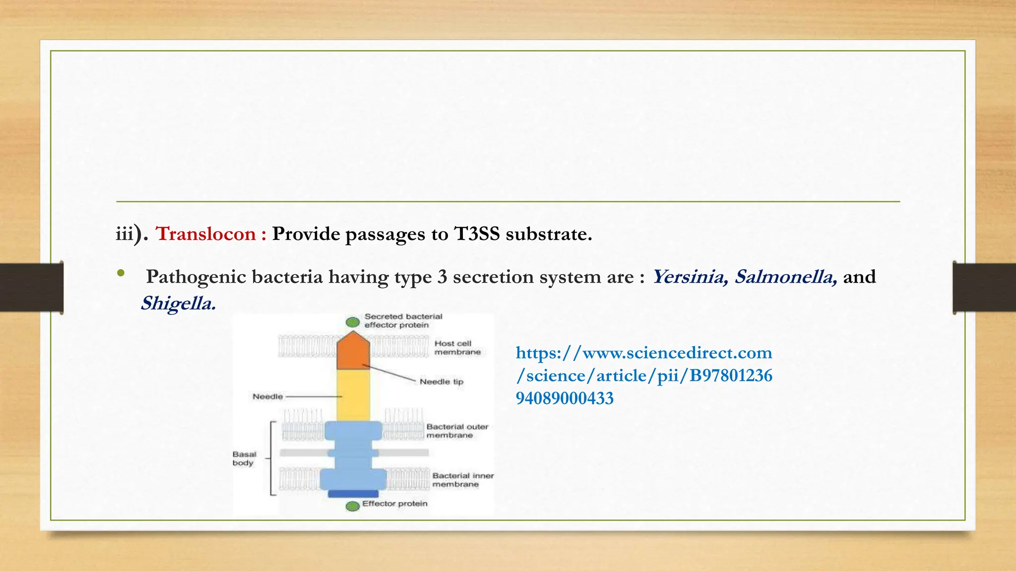 Bacterial secretion system and types .pptx