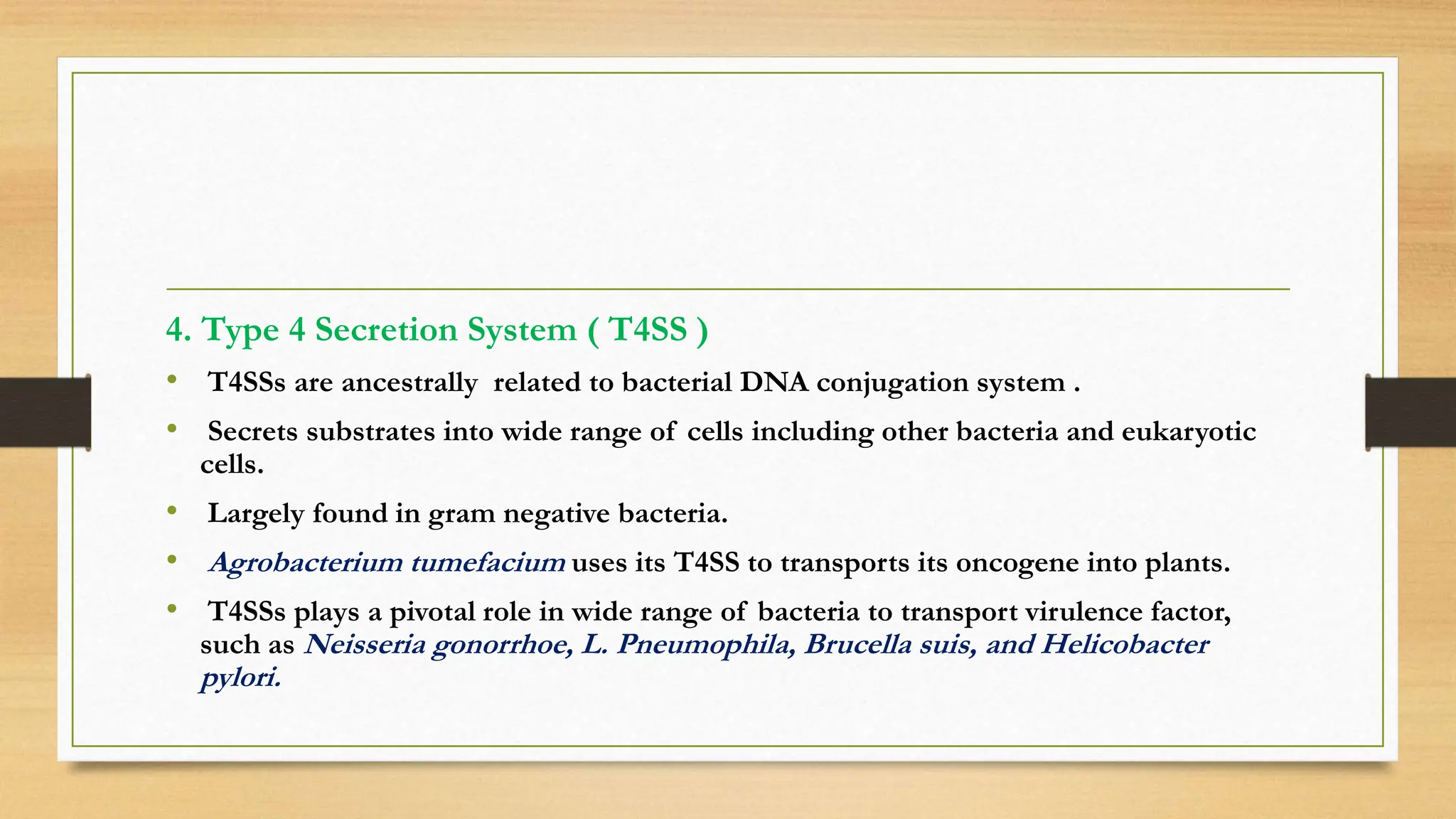 Bacterial secretion system and types .pptx