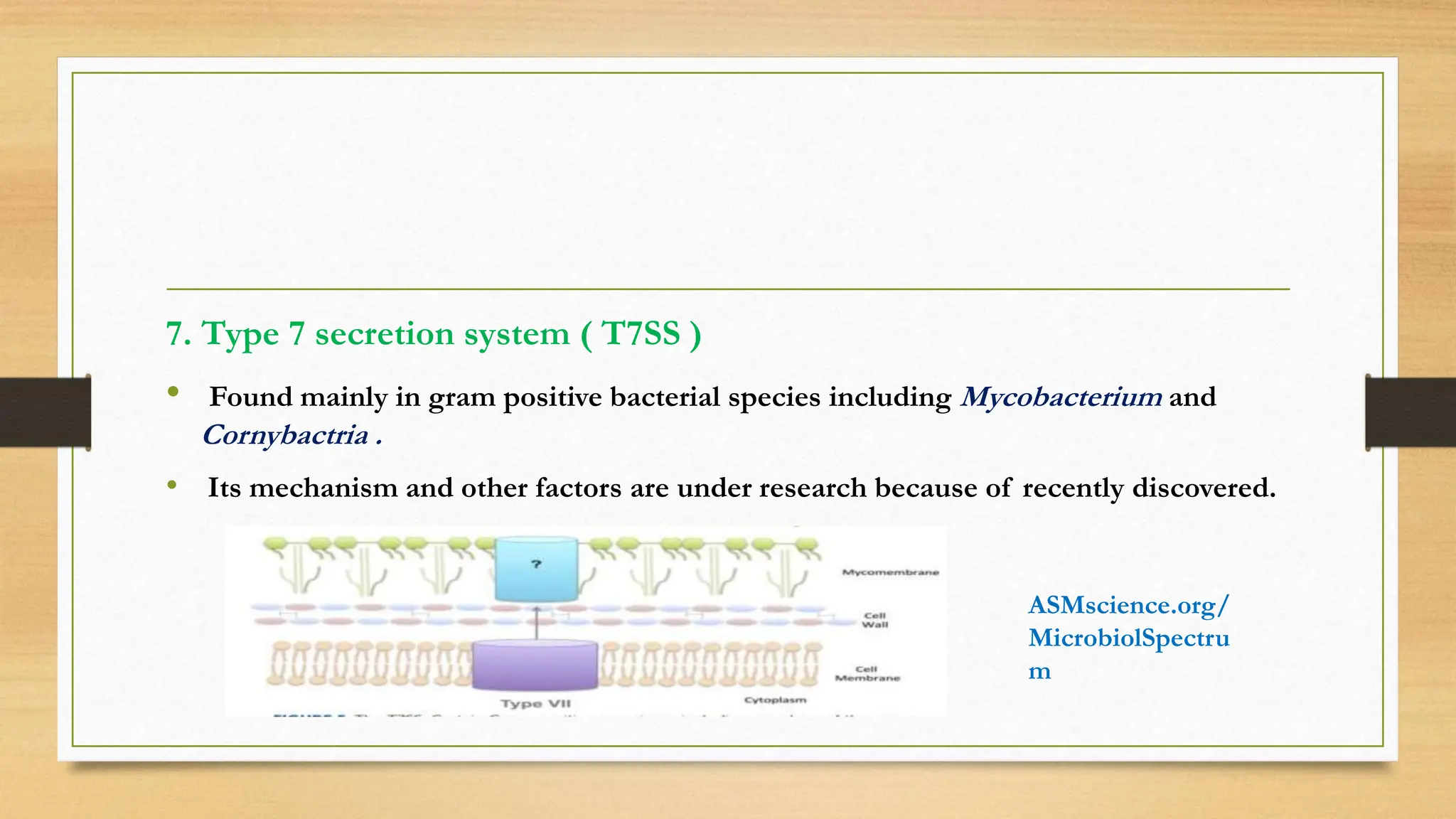 Bacterial secretion system and types .pptx