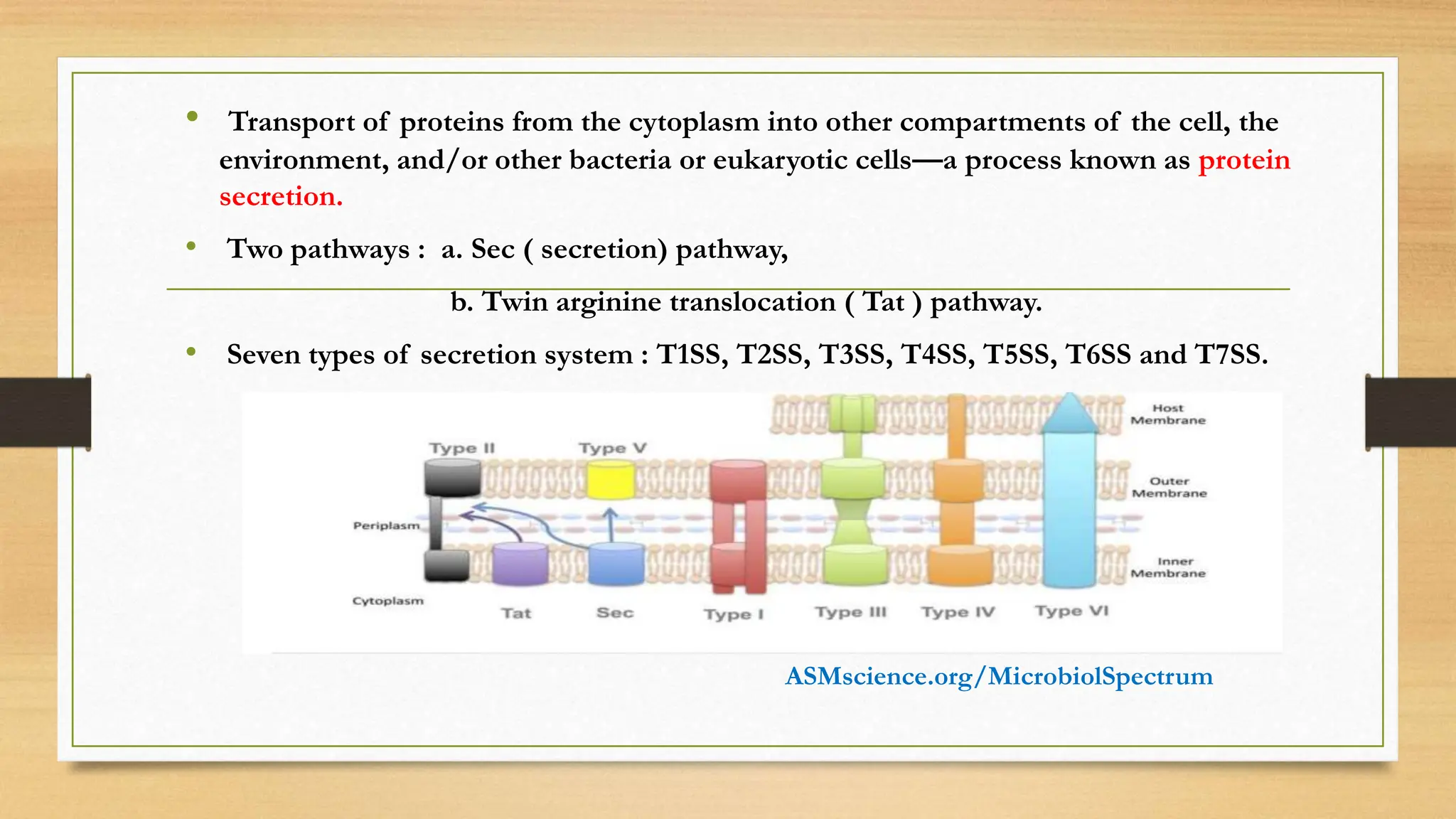 Bacterial secretion system and types .pptx
