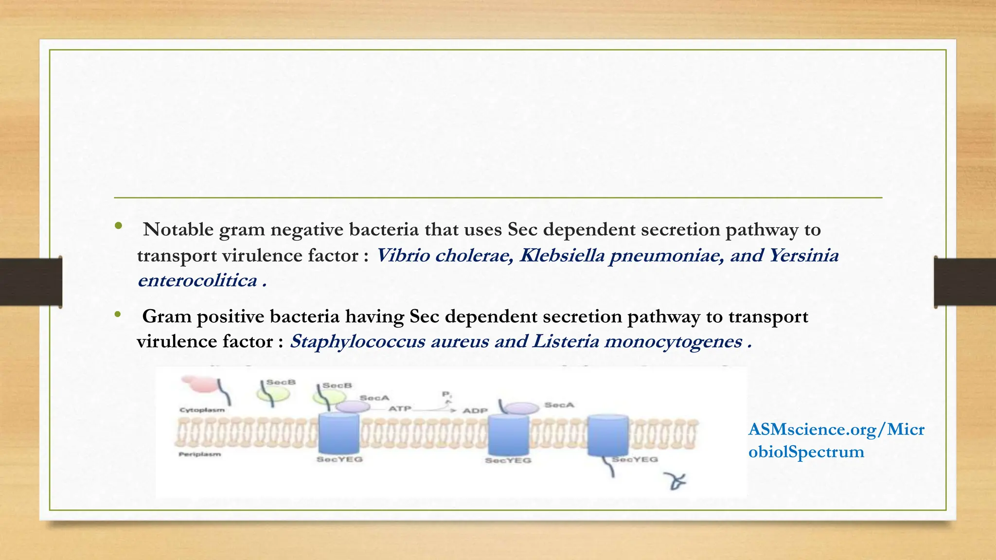 Bacterial secretion system and types .pptx