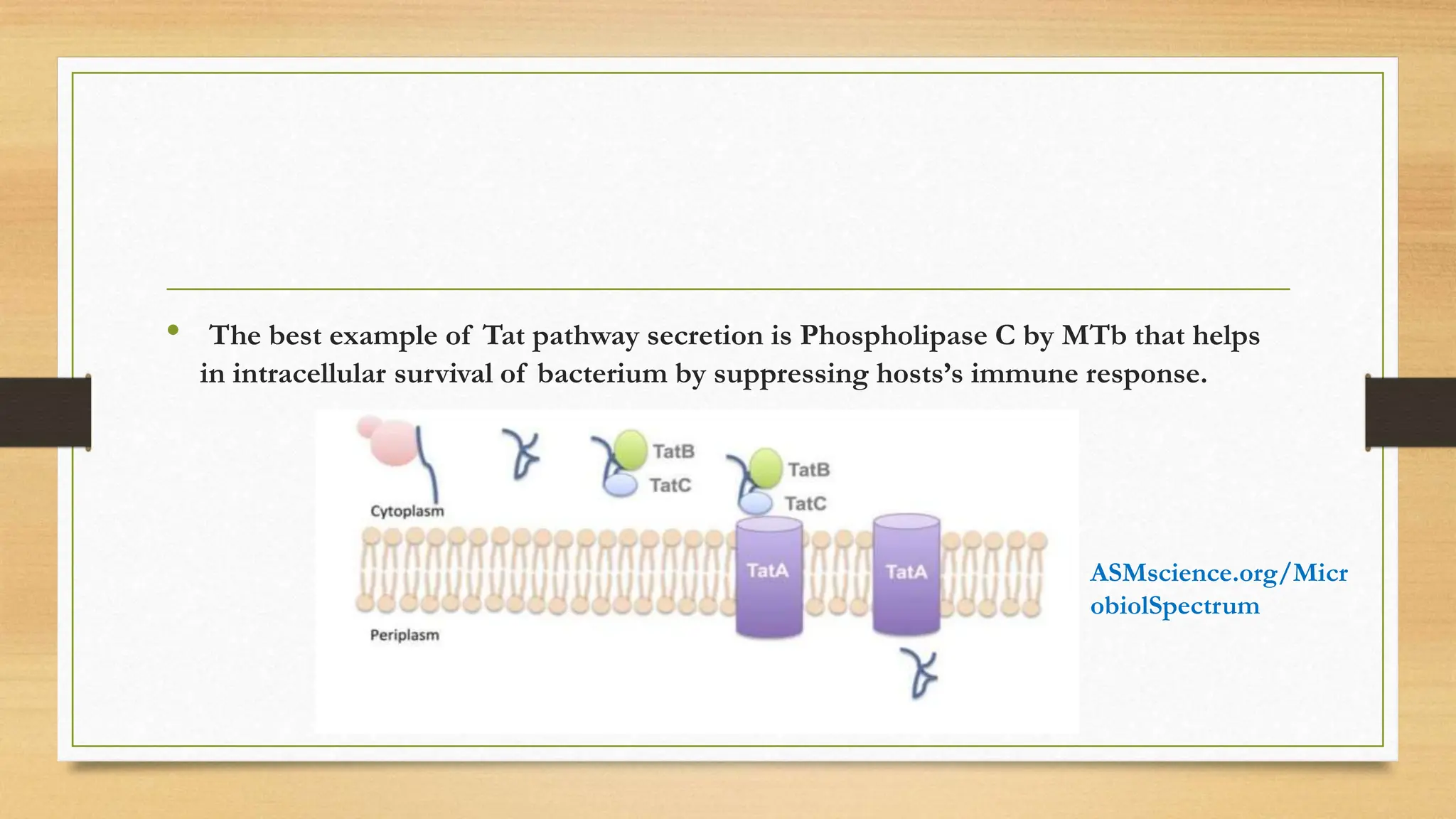 Bacterial secretion system and types .pptx