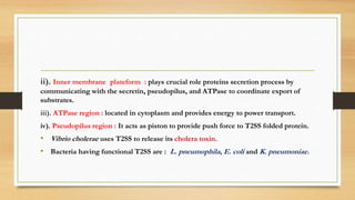 Bacterial secretion system and types .pptx