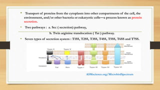 Bacterial secretion system and types .pptx
