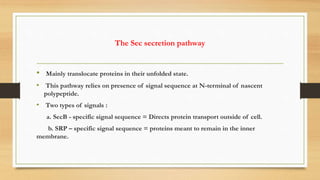 Bacterial secretion system and types .pptx