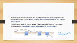 Bacterial secretion system and types .pptx
