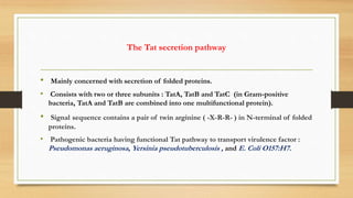 Bacterial secretion system and types .pptx