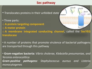BACTERIAL SECRETION SYSTEM by Dr. Chayanika Das | PPTX