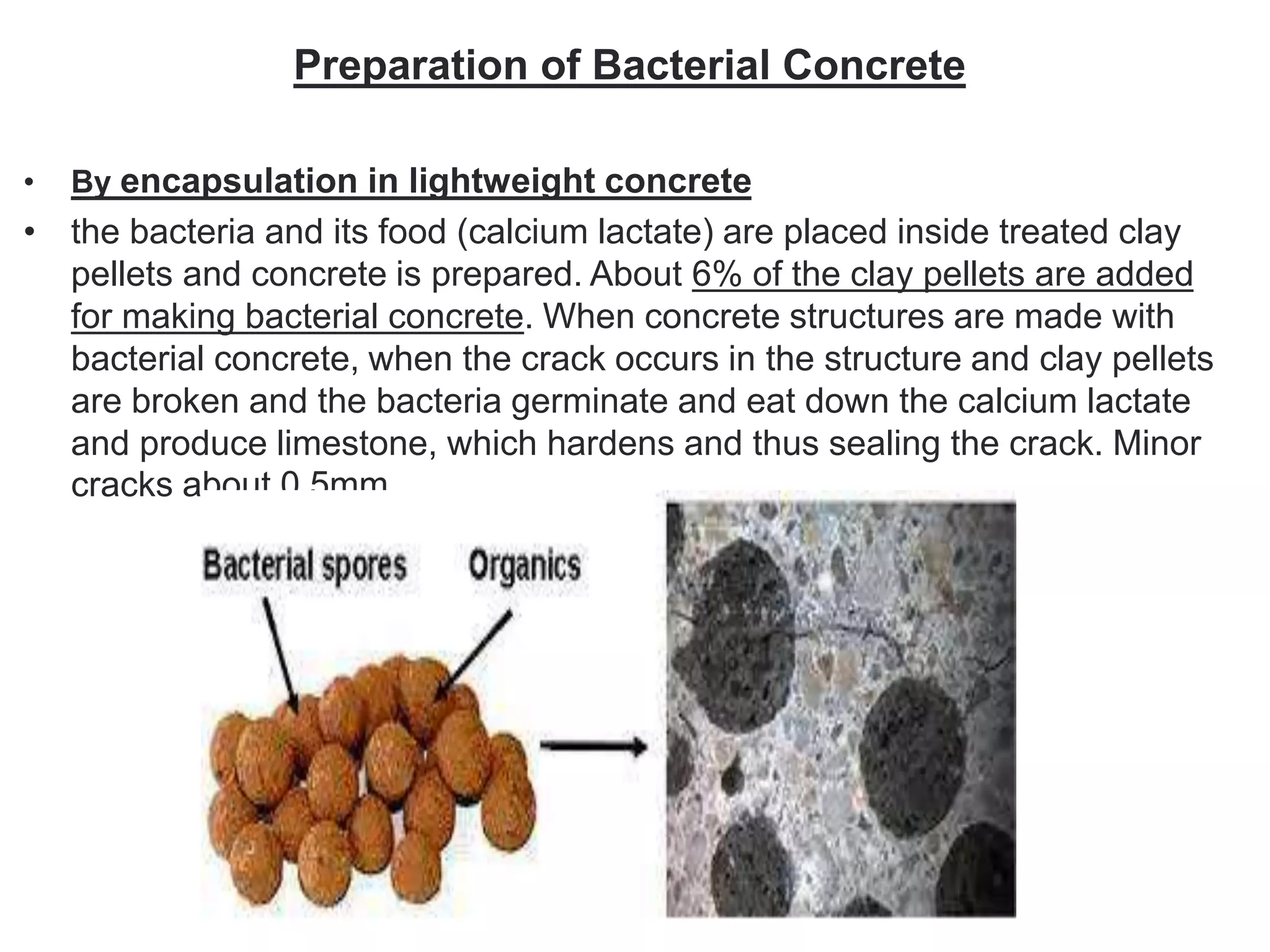 “Bacterial Concrete (or) Self Healing Concrete ” | PPTX