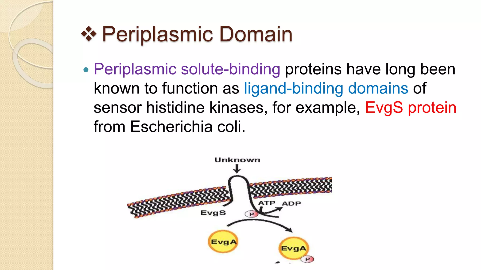 Bacterial signal transduction.pptx