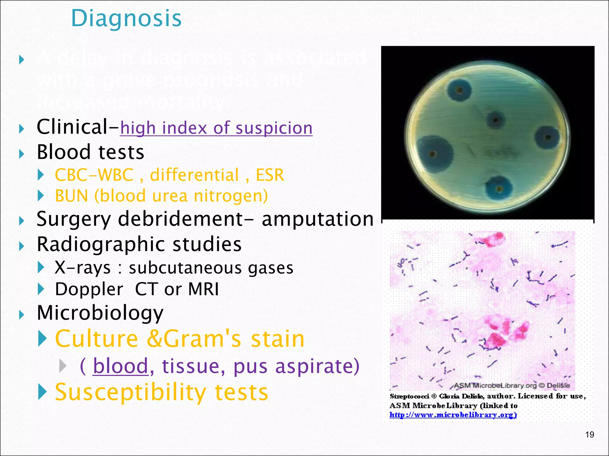 bacterial skin and soft tissue infections.ppt