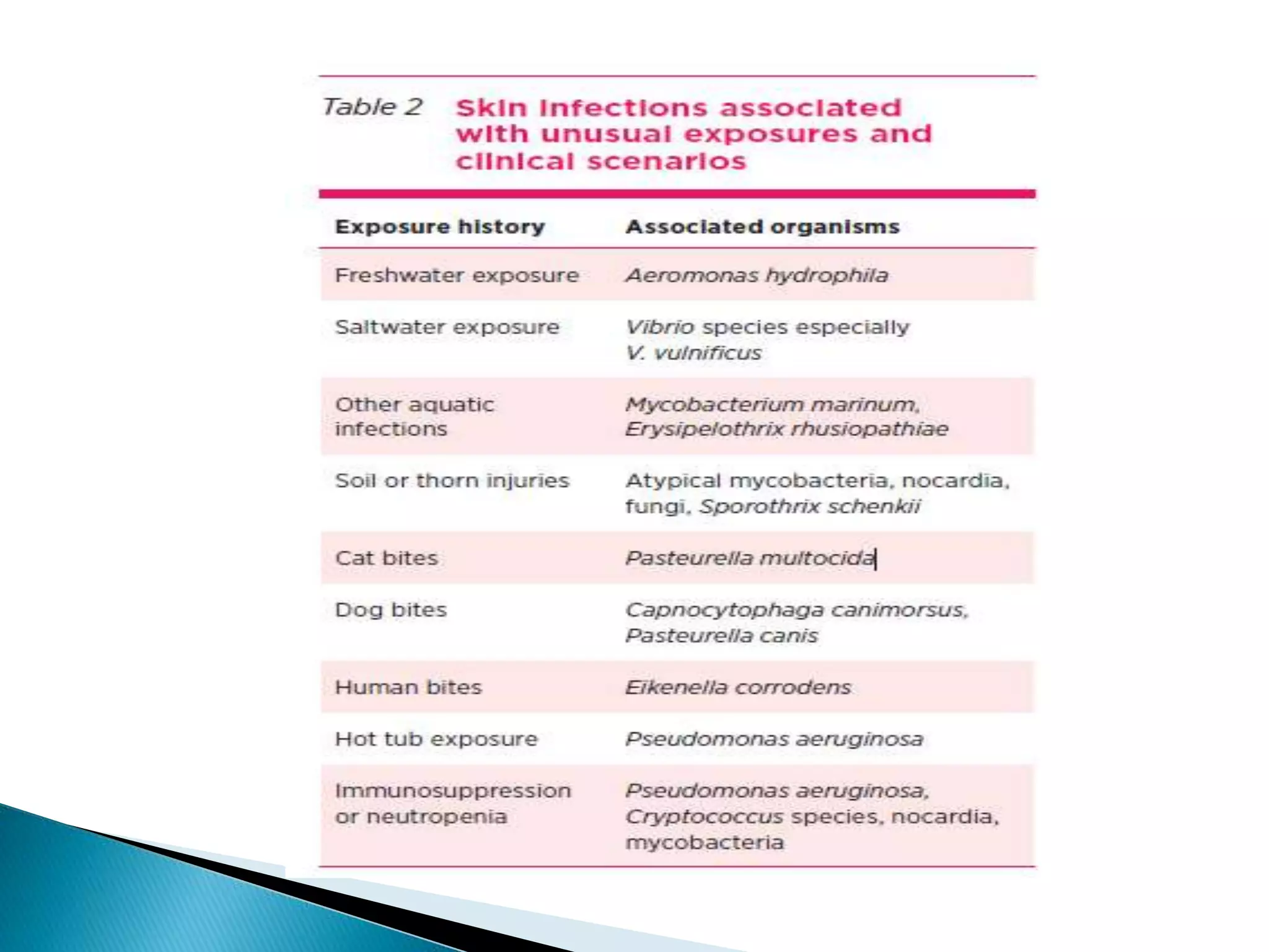 bacterial skin and soft tissue infections.ppt