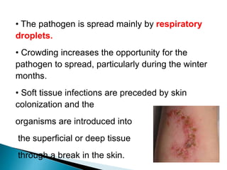 bacterial skin and soft tissue infections.ppt