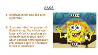 Bacterial Skin Disorders.pptx