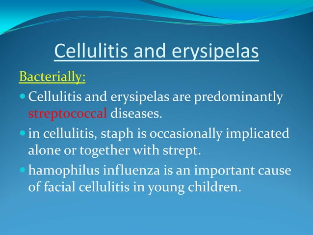 Bacterial skin infection | PDF | Infectious Diseases | Diseases and ...