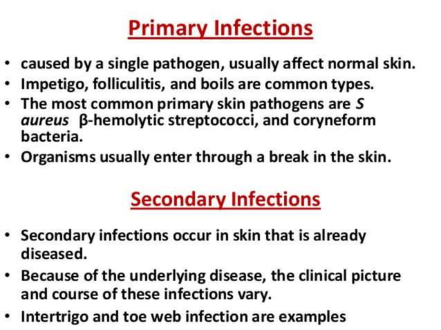 Bacterial skin infections | PPTX