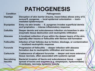 Bacterial skin infections from osun state University Nigeria | PPT