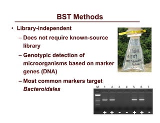 Bacterial source tracking gentry | PPT