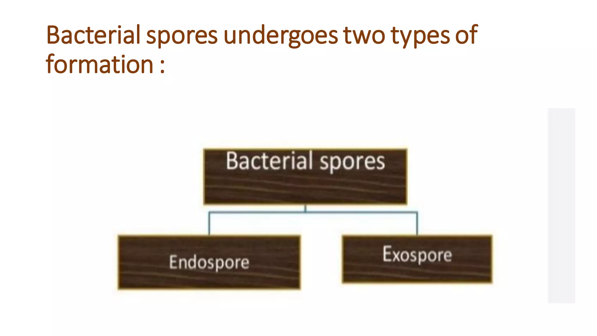 Bacterial spore physiology.pdf